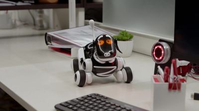 Rex Machina - Hudson & Rex S02E11 | TVmaze