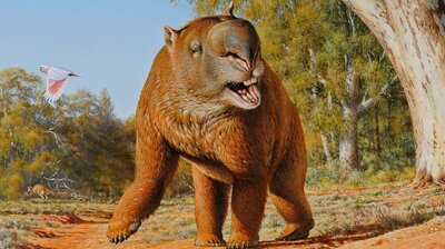 Diprotodon: Not A Wombat - Australia's Extinct Megafauna 1x01 | TVmaze
