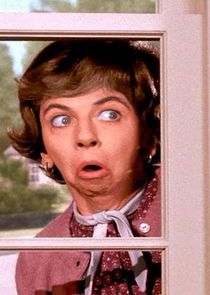 Alias Darrin Stephens - Bewitched S02E01 | TVmaze