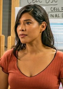 Chicago P.D. - Next Episode