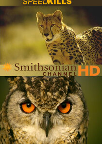 Speed Kills | TVmaze