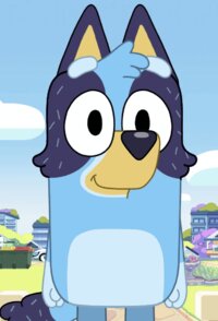 Grown Up Bluey - Gallery | TVmaze