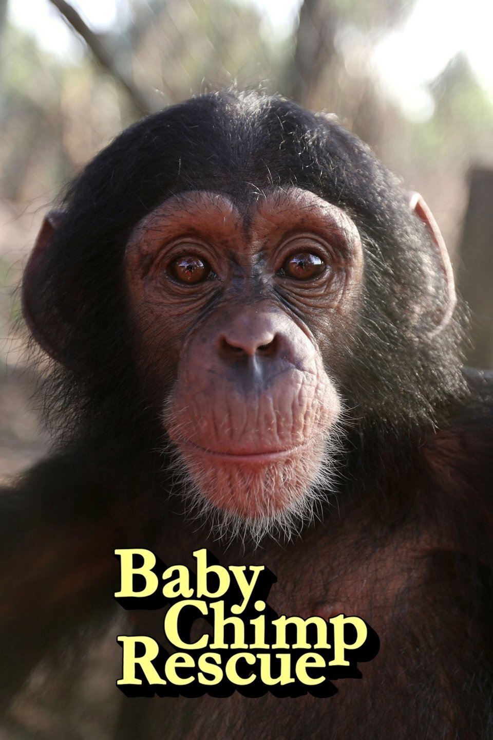 Baby Chimp Rescue | TVmaze
