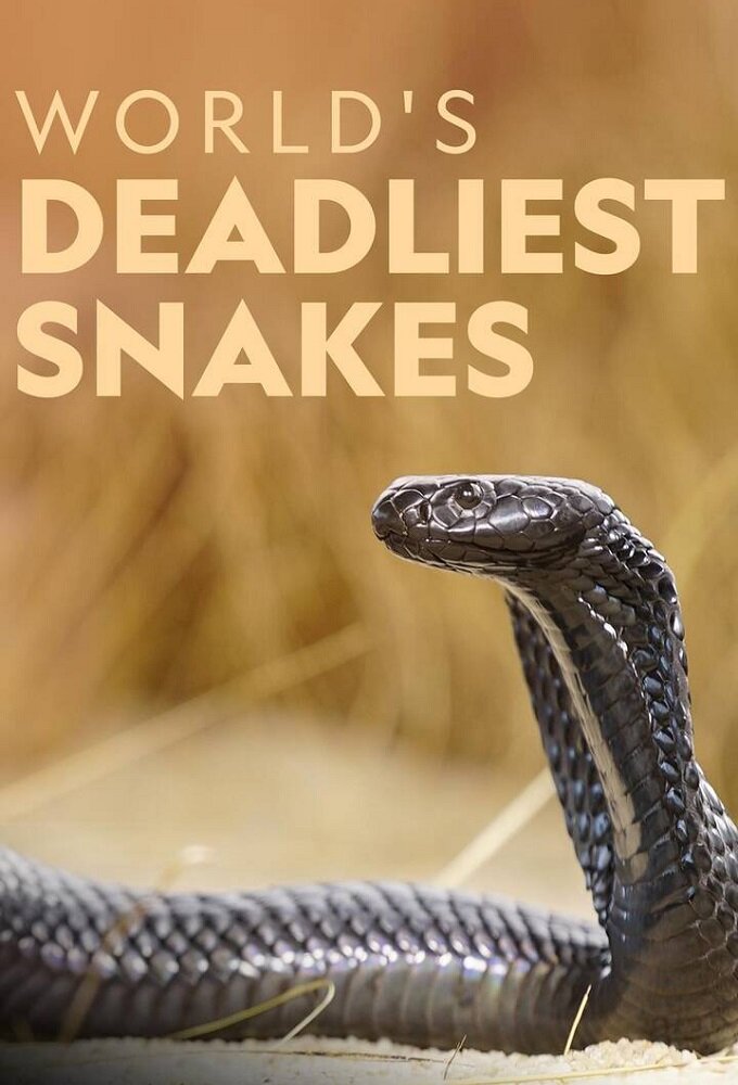 World's Deadliest Snakes | TVmaze