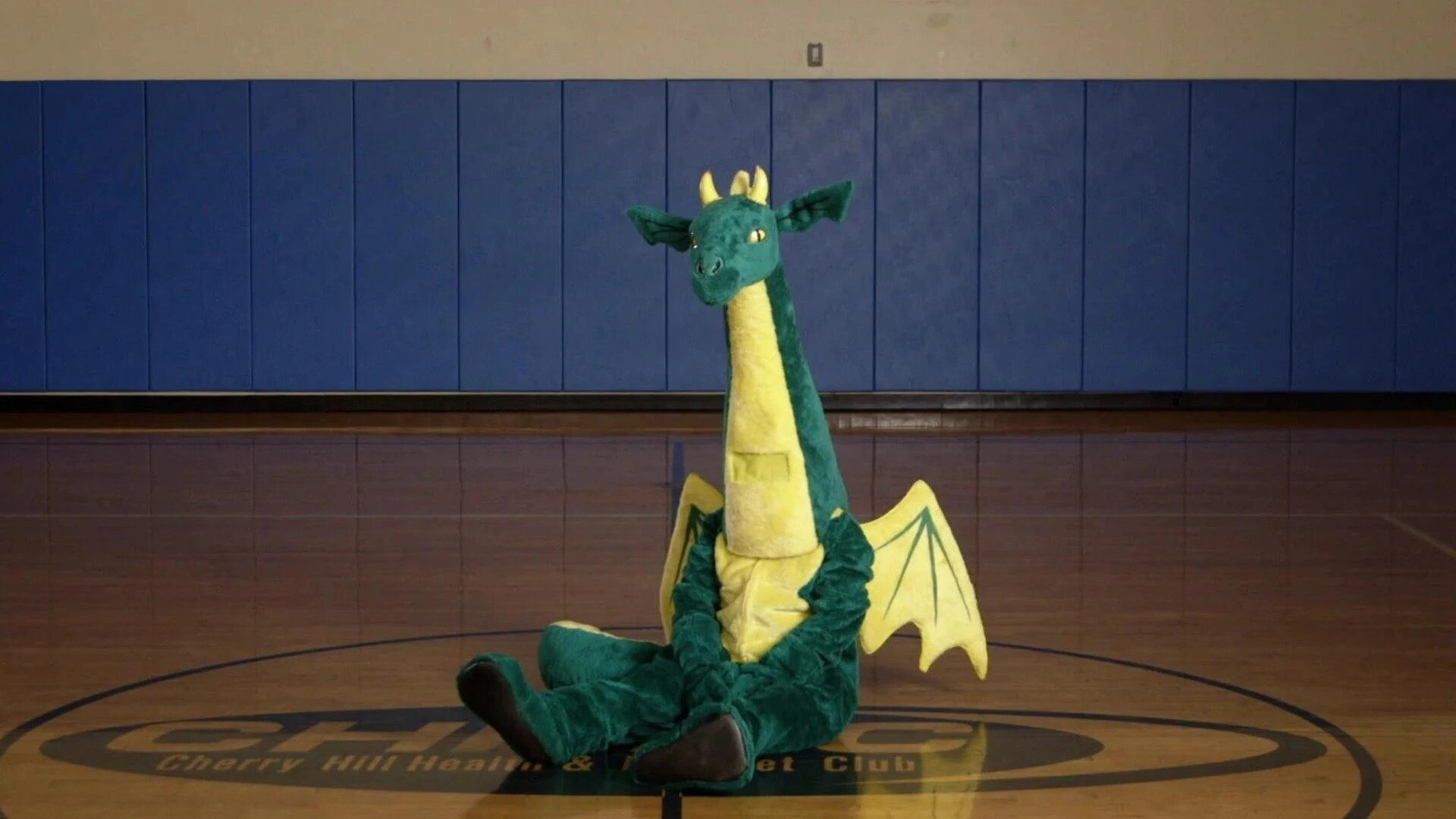 Meet the Mascots - Behind the Mask 1x01 | TVmaze