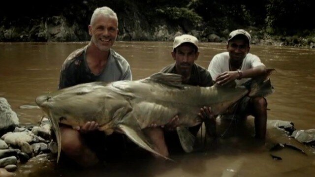 Killer Catfish Image #1000448 | TVmaze