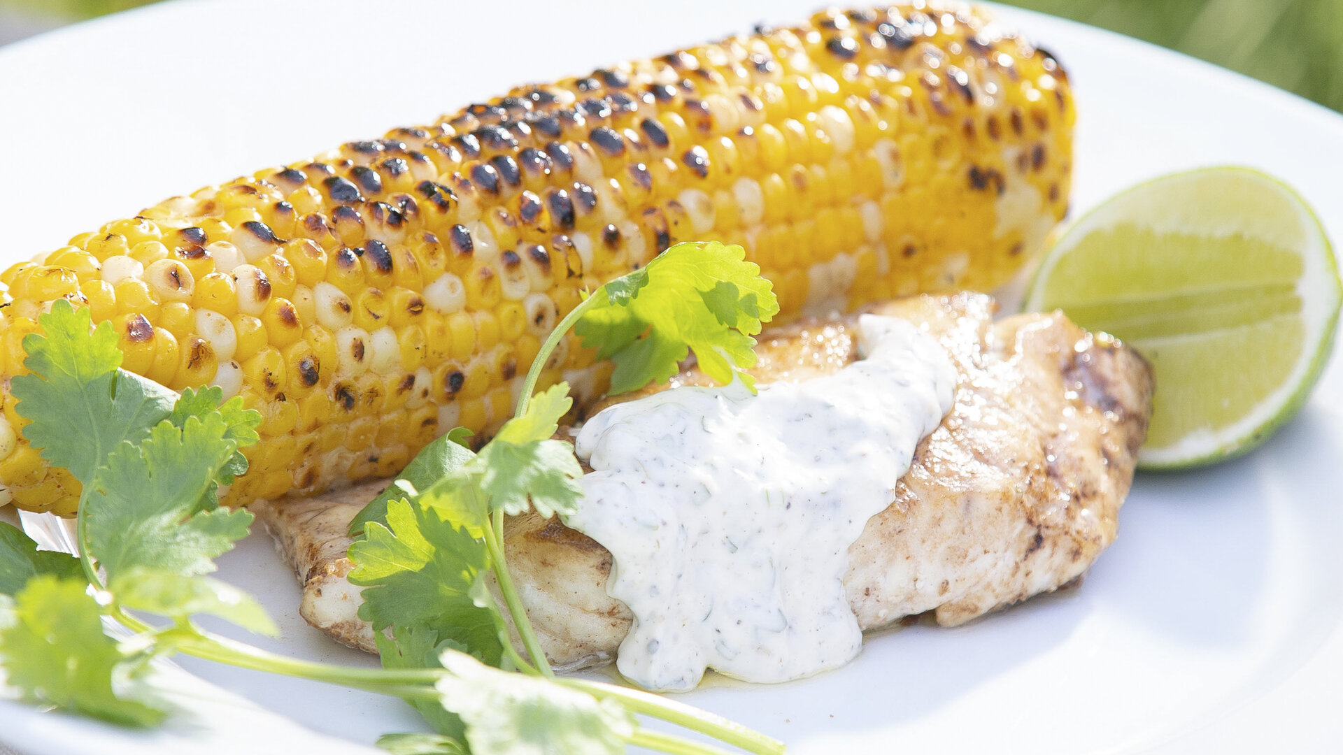 Symon's Perfect Summer Supper - Symon's Dinners Cooking Out 4x10 | TVmaze