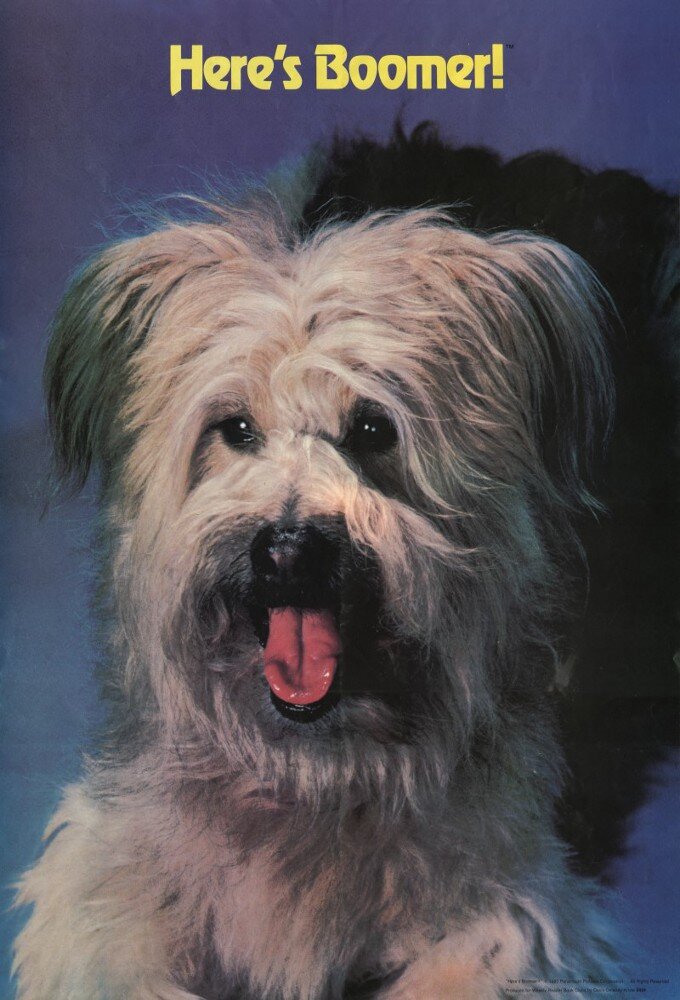 Here's Boomer | TVmaze