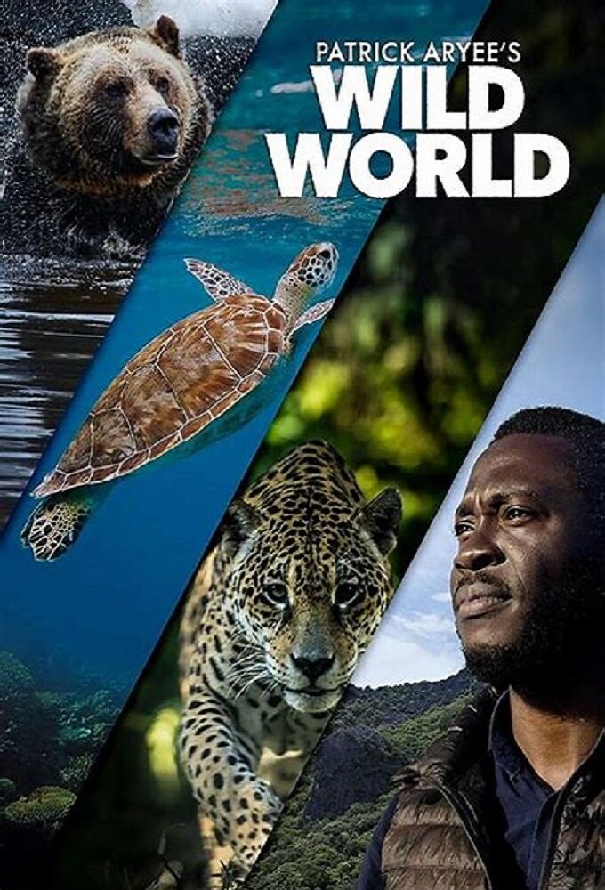 Patrick Aryee's Wild World | TVmaze