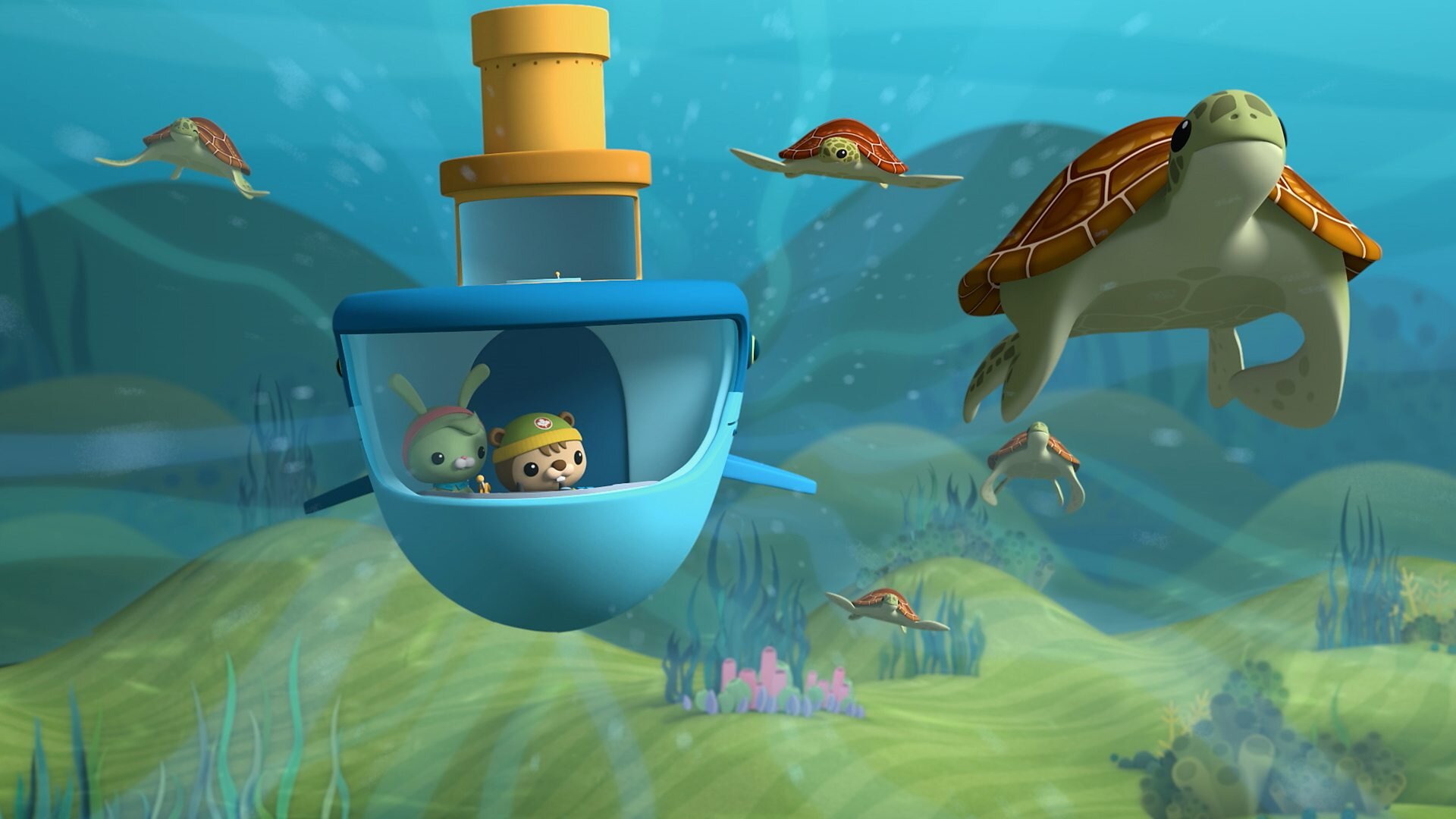 Sea Turtle s Shell Octonauts Above Beyond 3x22 TVmaze