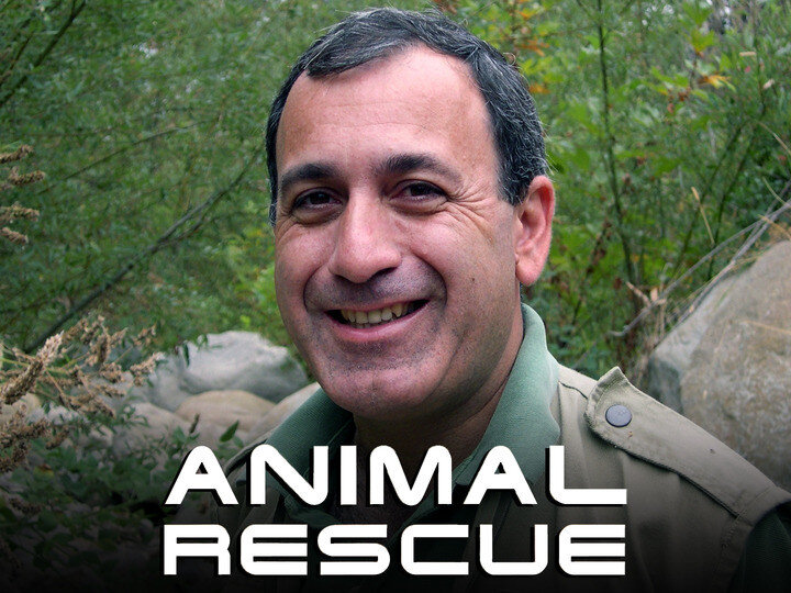 Animal Rescue | TVmaze