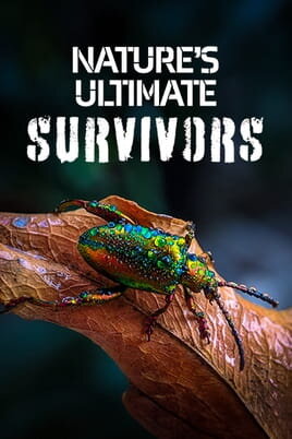Nature's Ultimate Survivors | TVmaze
