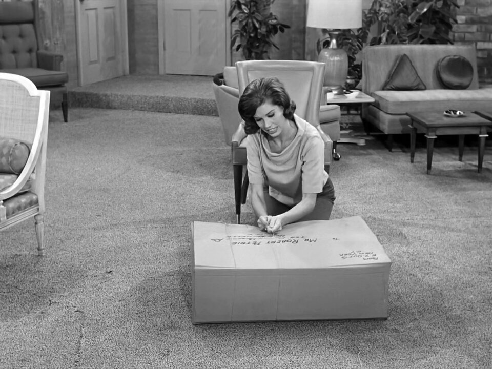 The Curious Thing About Women - The Dick Van Dyke Show 1x16 | TVmaze