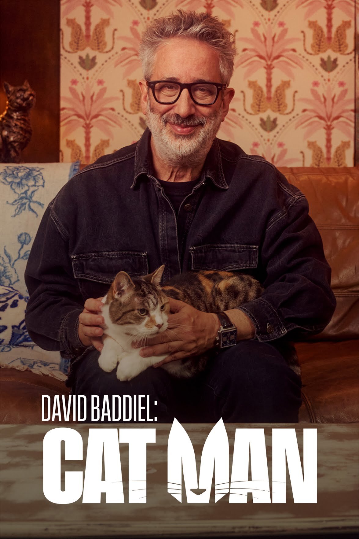 David Baddiel: Cat Man | TVmaze