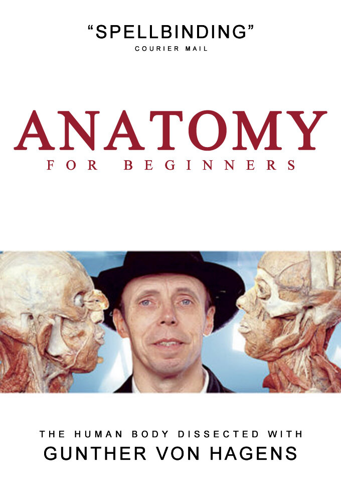 Anatomy for Beginners | TVmaze